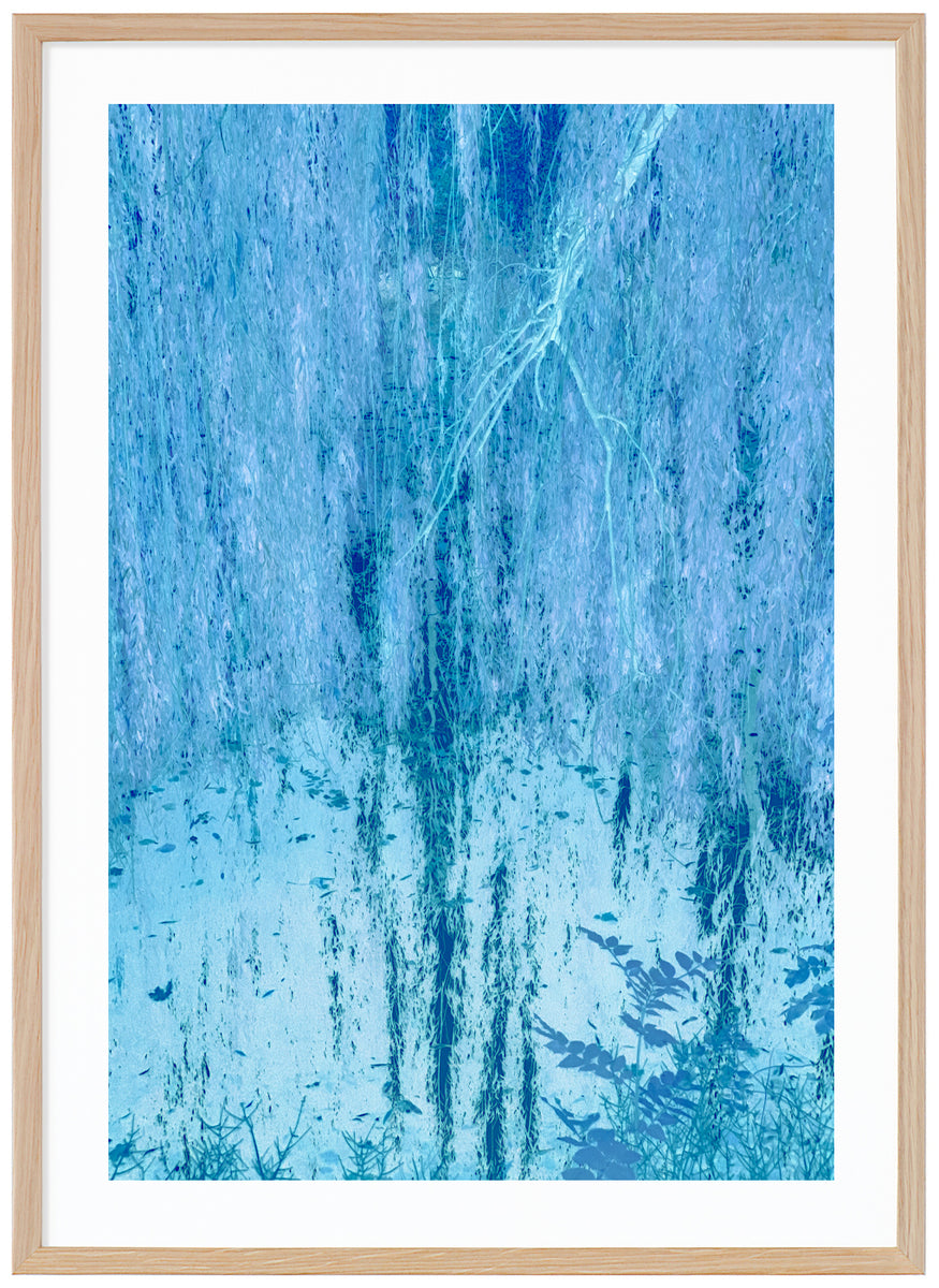 Blue Willow – Poppy Posters
